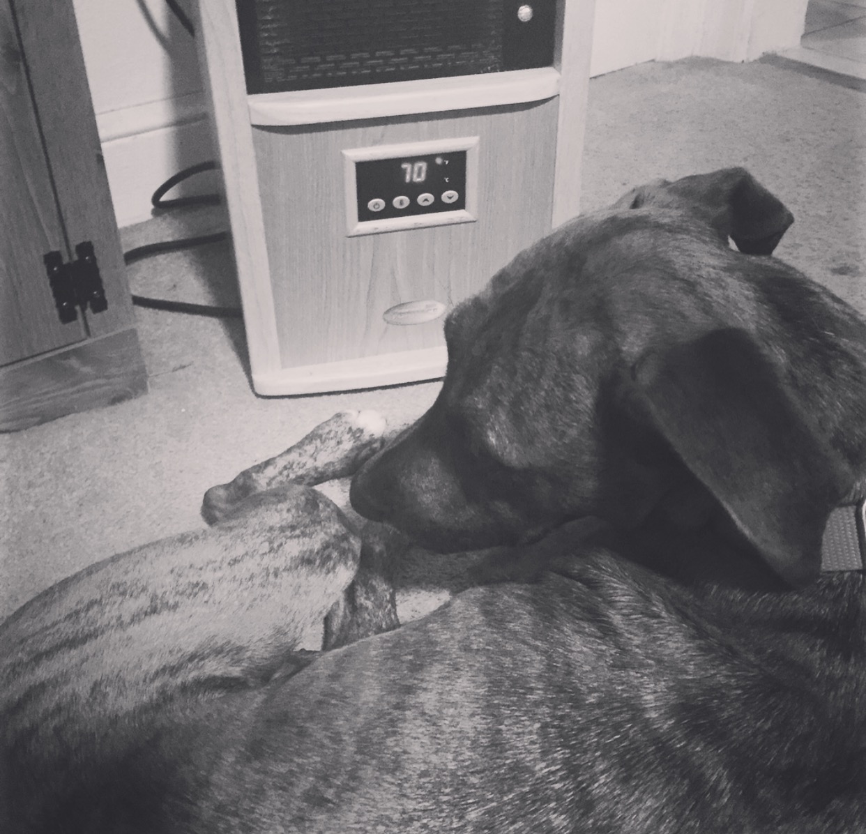 Surviving the Winter with CRPS – The Invisible Warrior